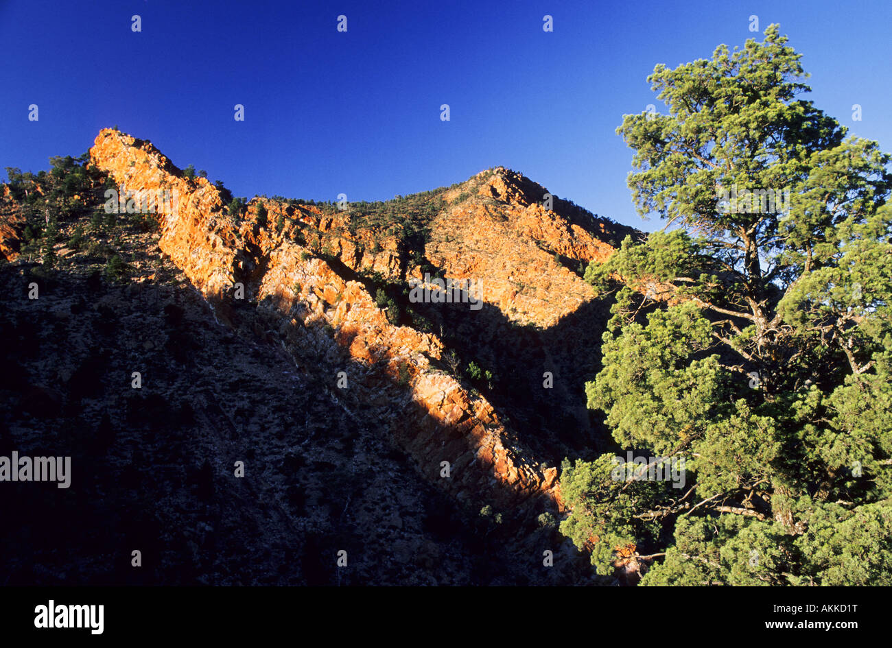 Mountainous gorge called Brachina Gorge Flinders Ranges South Australia ...