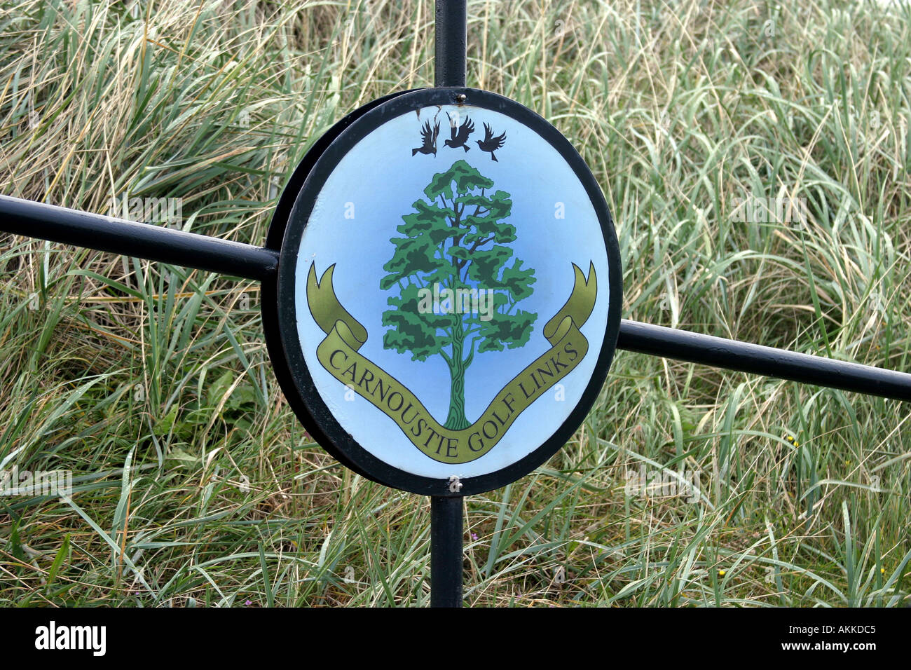 The open championship logo hi-res stock photography and images - Alamy