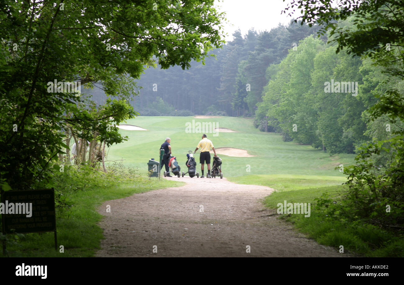 Golfbags hi-res stock photography and images - Alamy