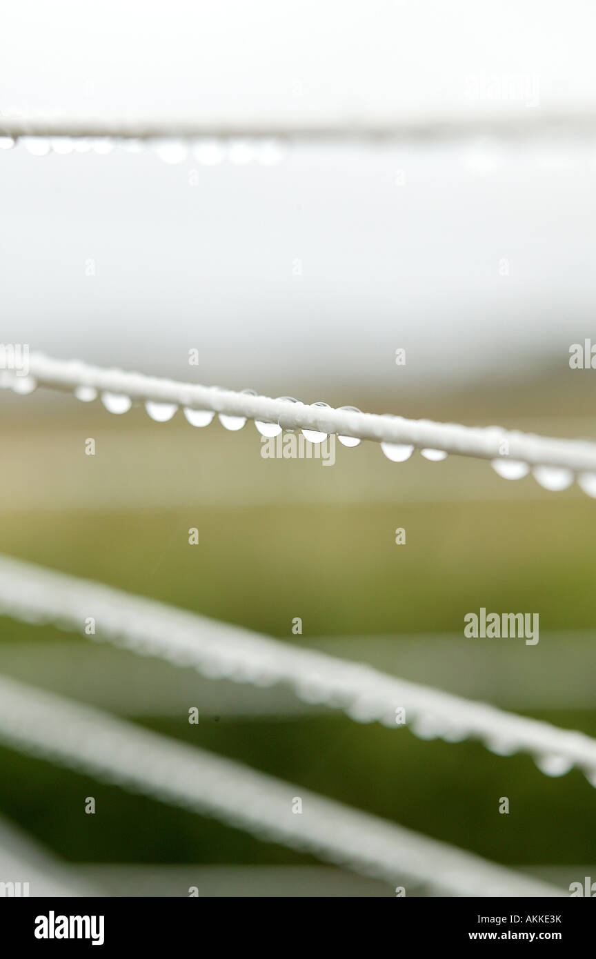 water droplets hanging from the cord of a washing line Concepts of ...