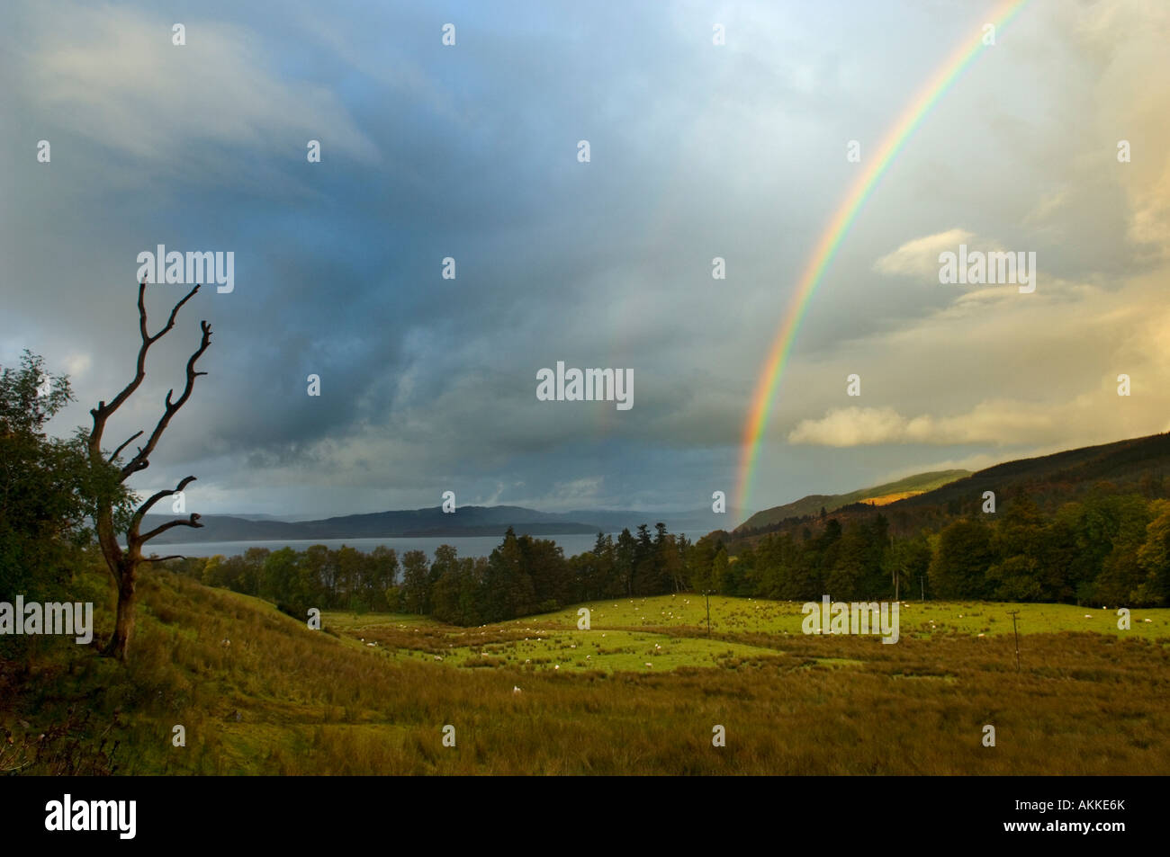 A rainbow in the Scottish highlands with Loch Fyne visible in the ...
