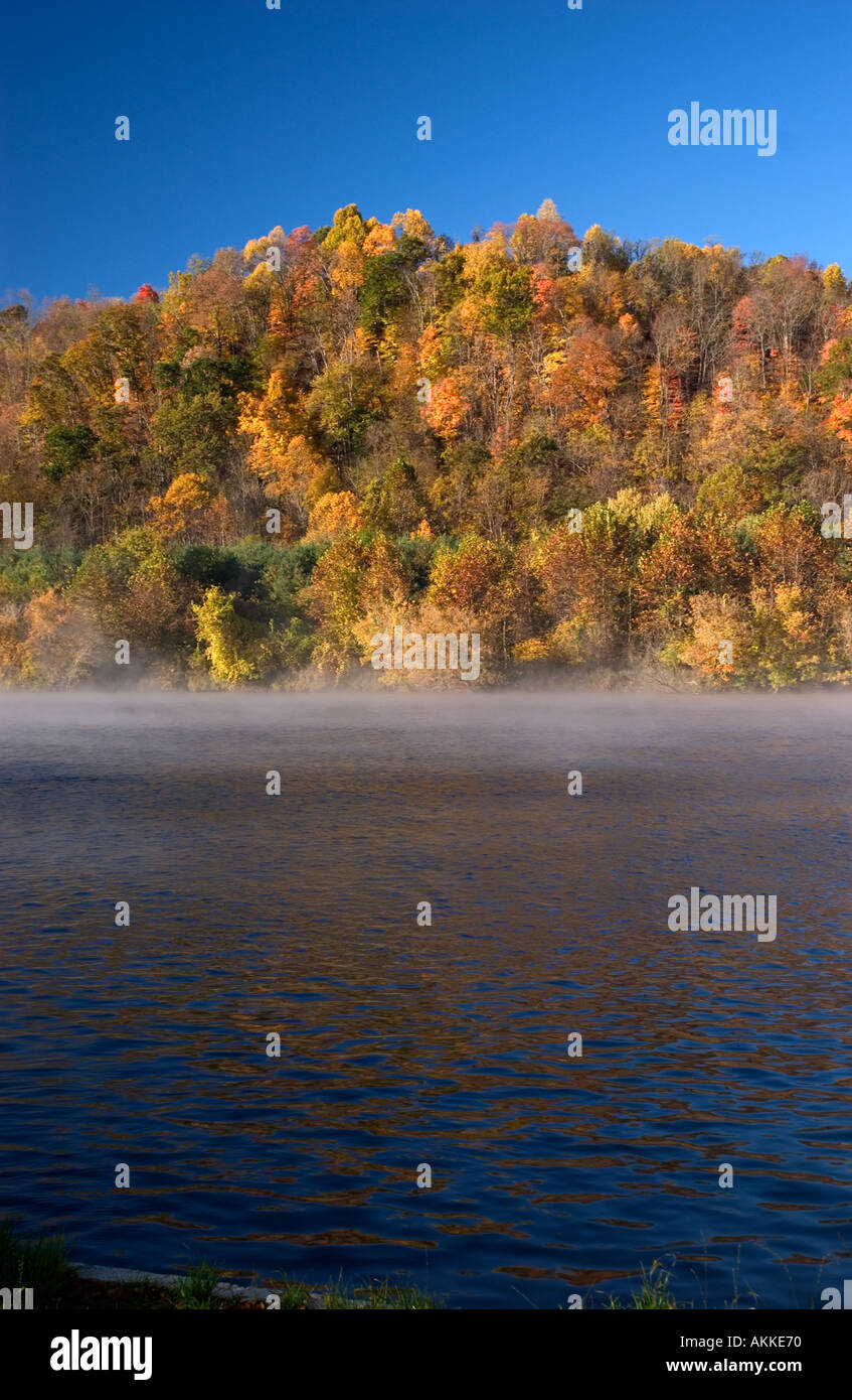 Reflections of fall colors in foggy river Stock Photo - Alamy