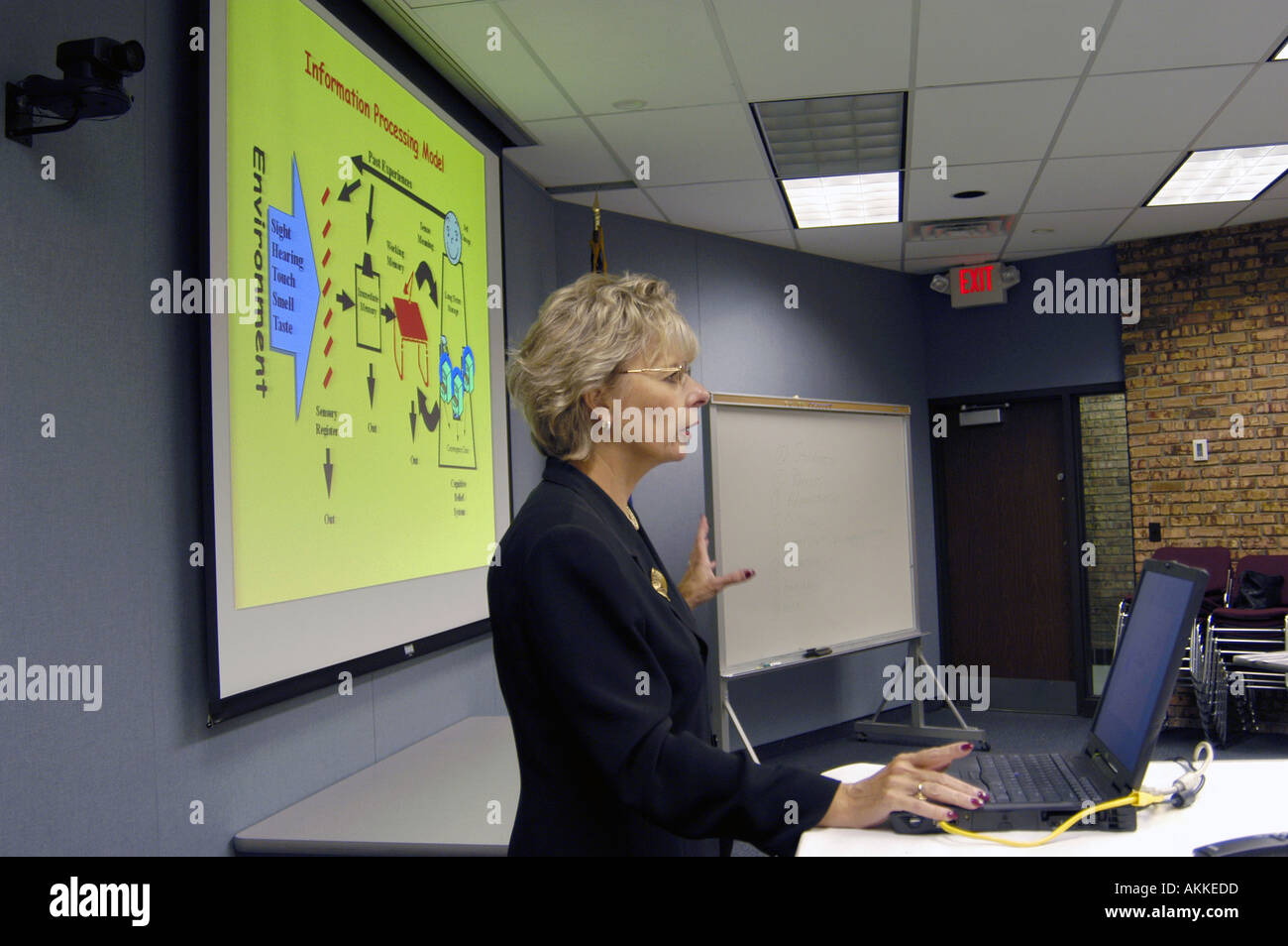 Female presenter gives Power Point presentation to a group of ...