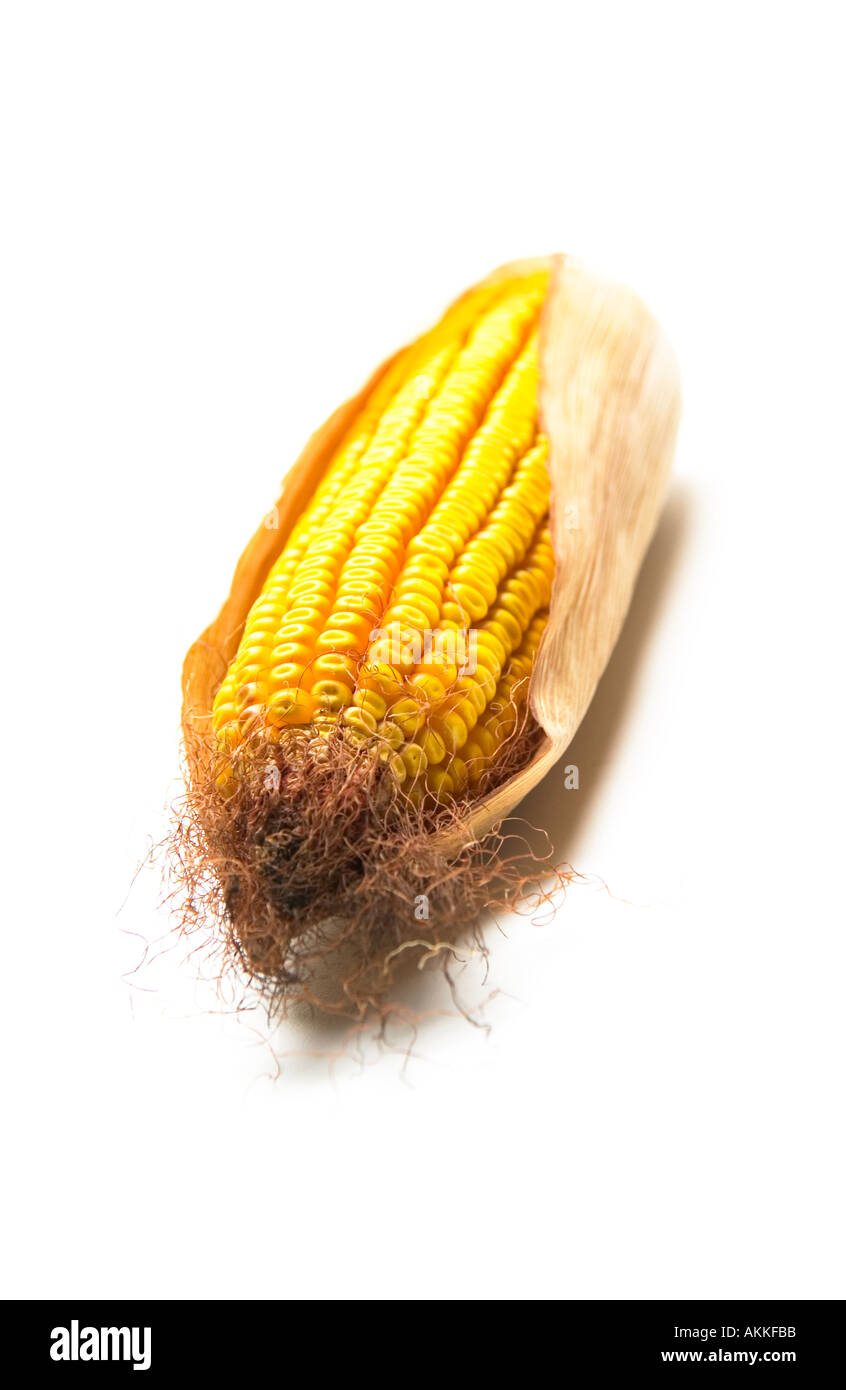 Field feed Cut Out Stock Images & Pictures - Alamy