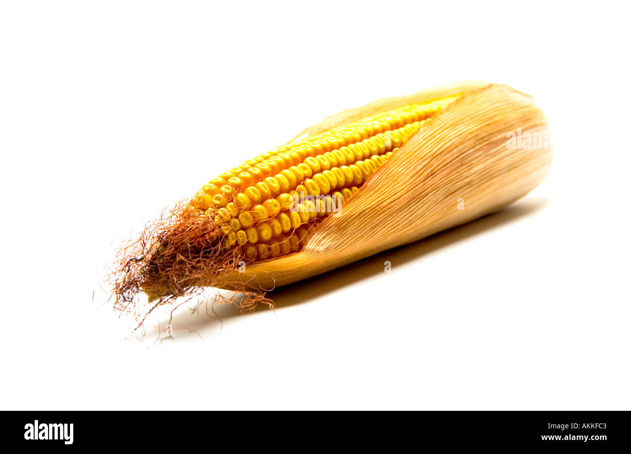 Hybrid corn crop Cut Out Stock Images & Pictures - Alamy