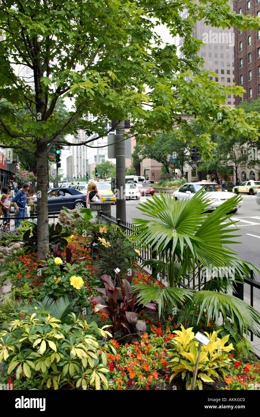STREET SCENE Chicago Illinois Lush gardens along Michigan Avenue ...