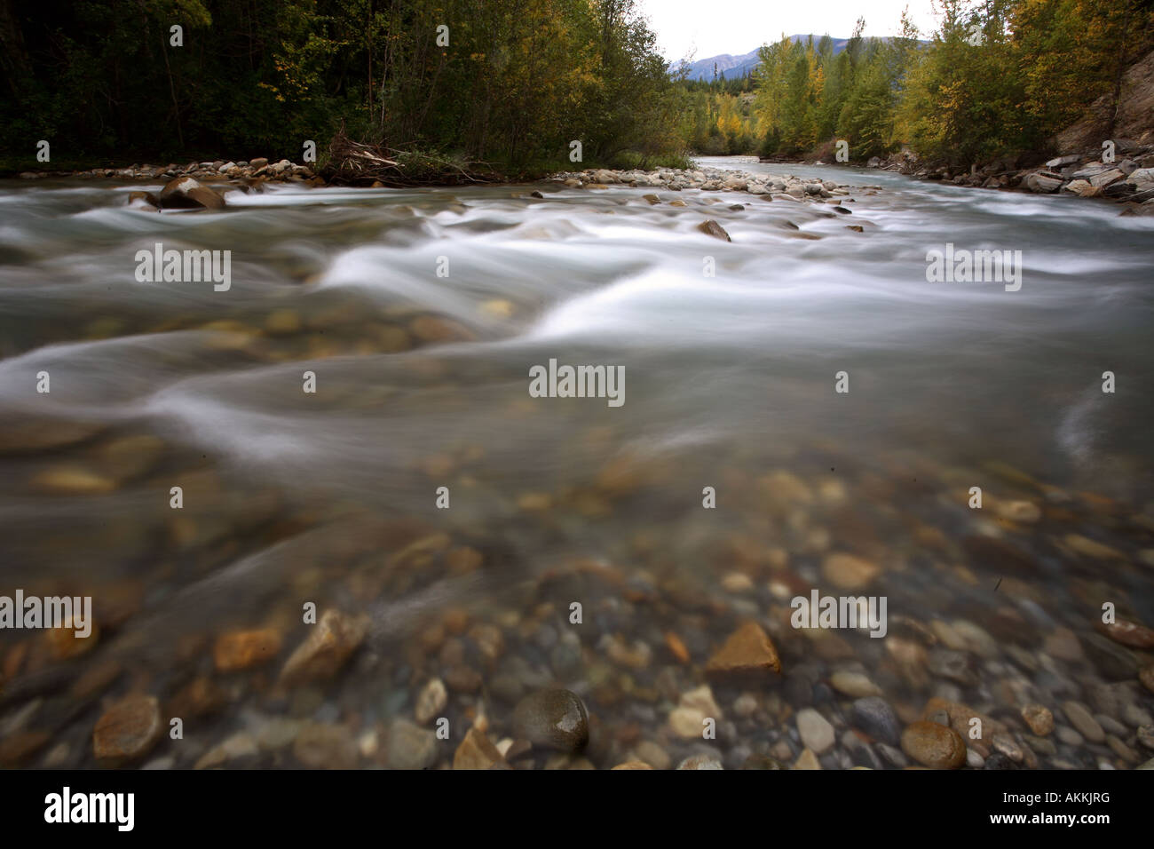 Dunster british columbia hi-res stock photography and images - Alamy