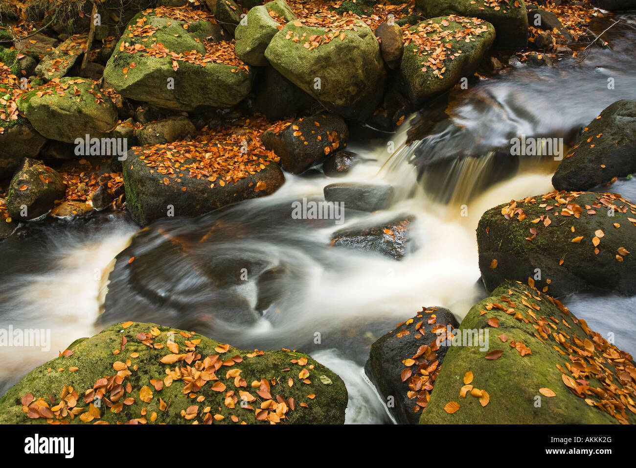 Padley gorge walk hi-res stock photography and images - Alamy