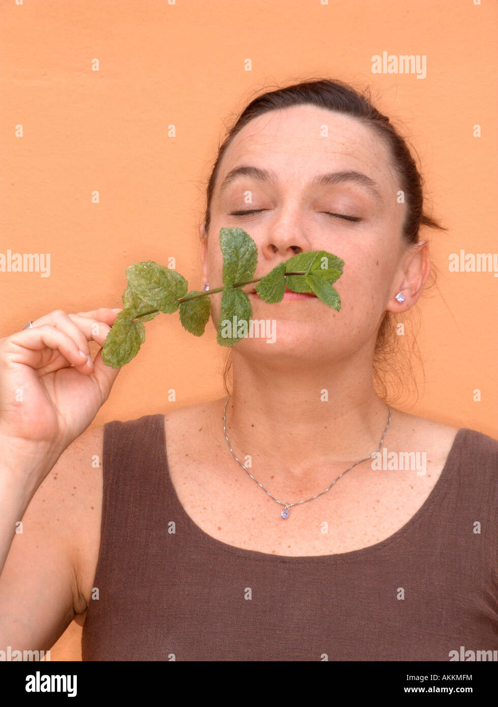 Woman smelling a branch of Mint (Mentha) plant Stock Photo - Alamy