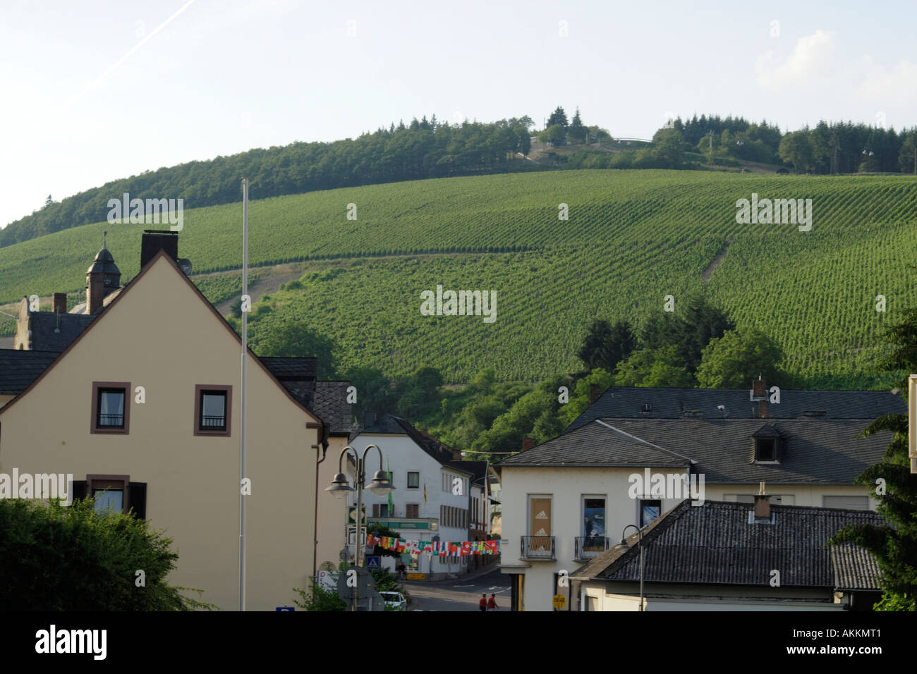 Saarburg Germany - vineyards on the hills in the centre of Saarburg in ...