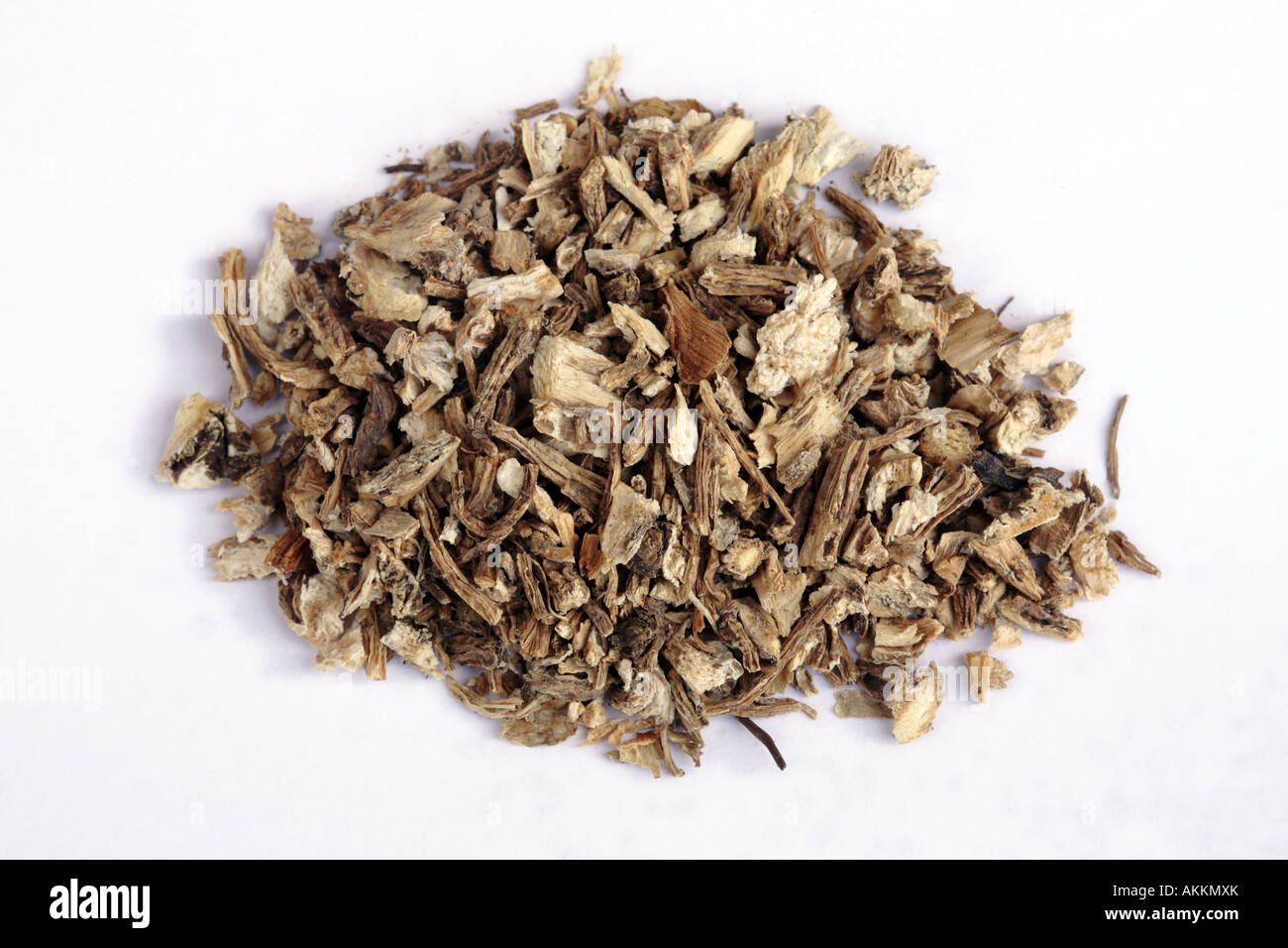 Angelica Root - Angelica Archangelica Stock Photo - Alamy