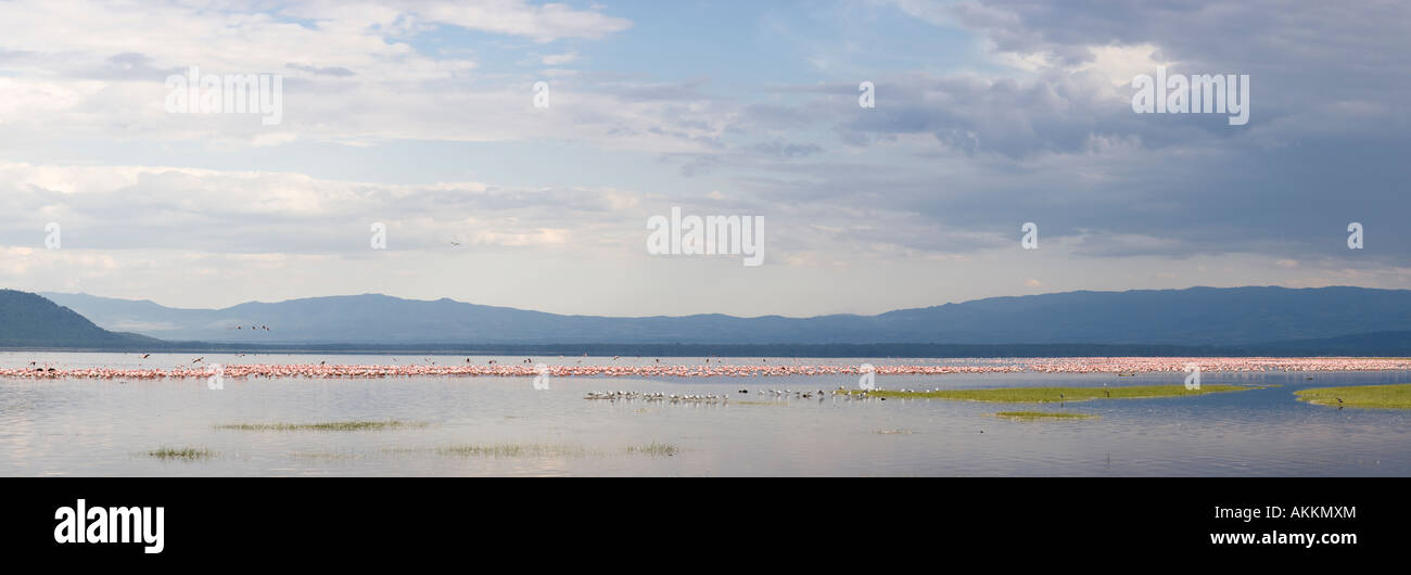 Lake Nakuru and Lesser Flamingos, Kenya Stock Photo - Alamy