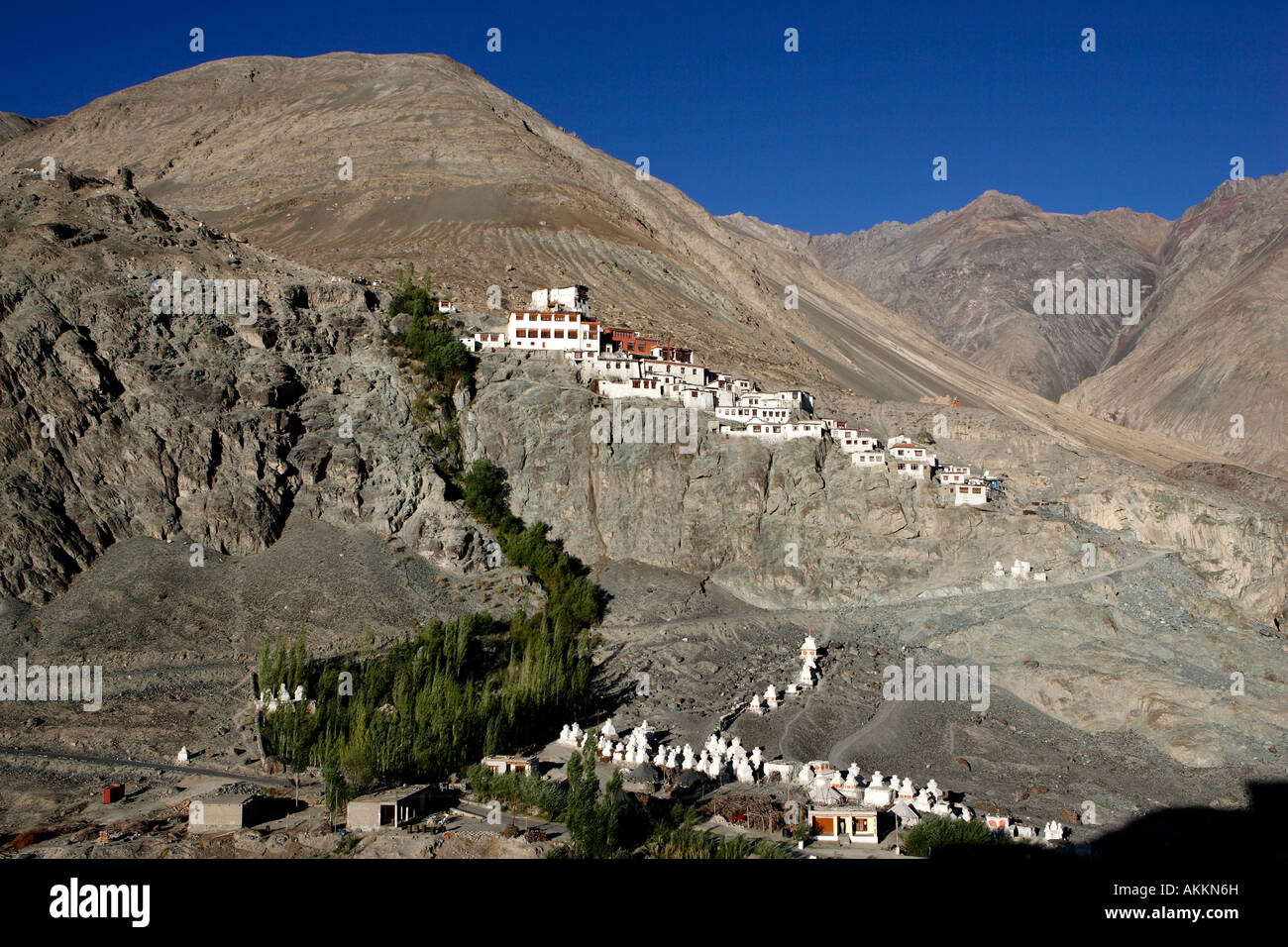 India, Jammu and Kashmir, Ladakh region, Nubra valley, Diskit Gompa ...