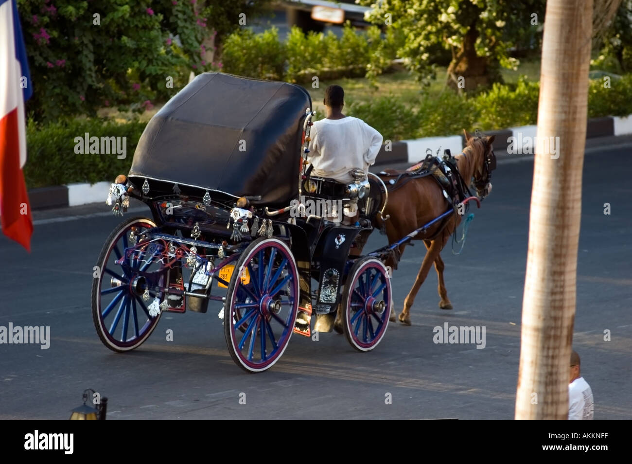 Egypt Luxor Horse Drawn Carriage High Resolution Stock Photography and ...