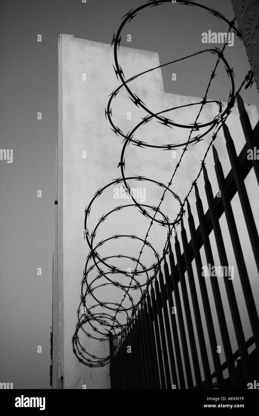 Security Fence with razor wire Stock Photo - Alamy