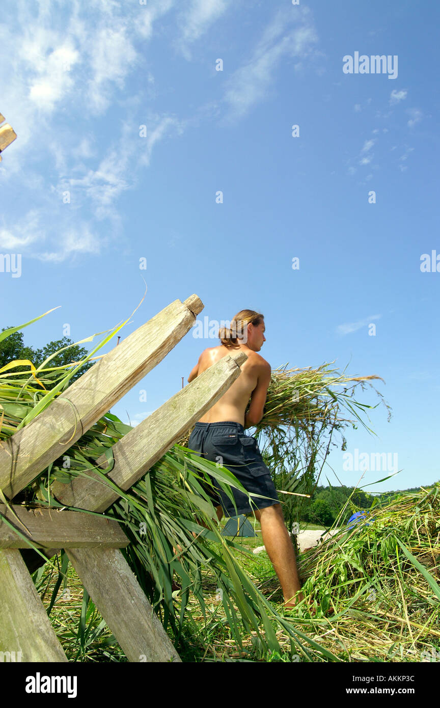 Man carrying straw Stock Photo - Alamy