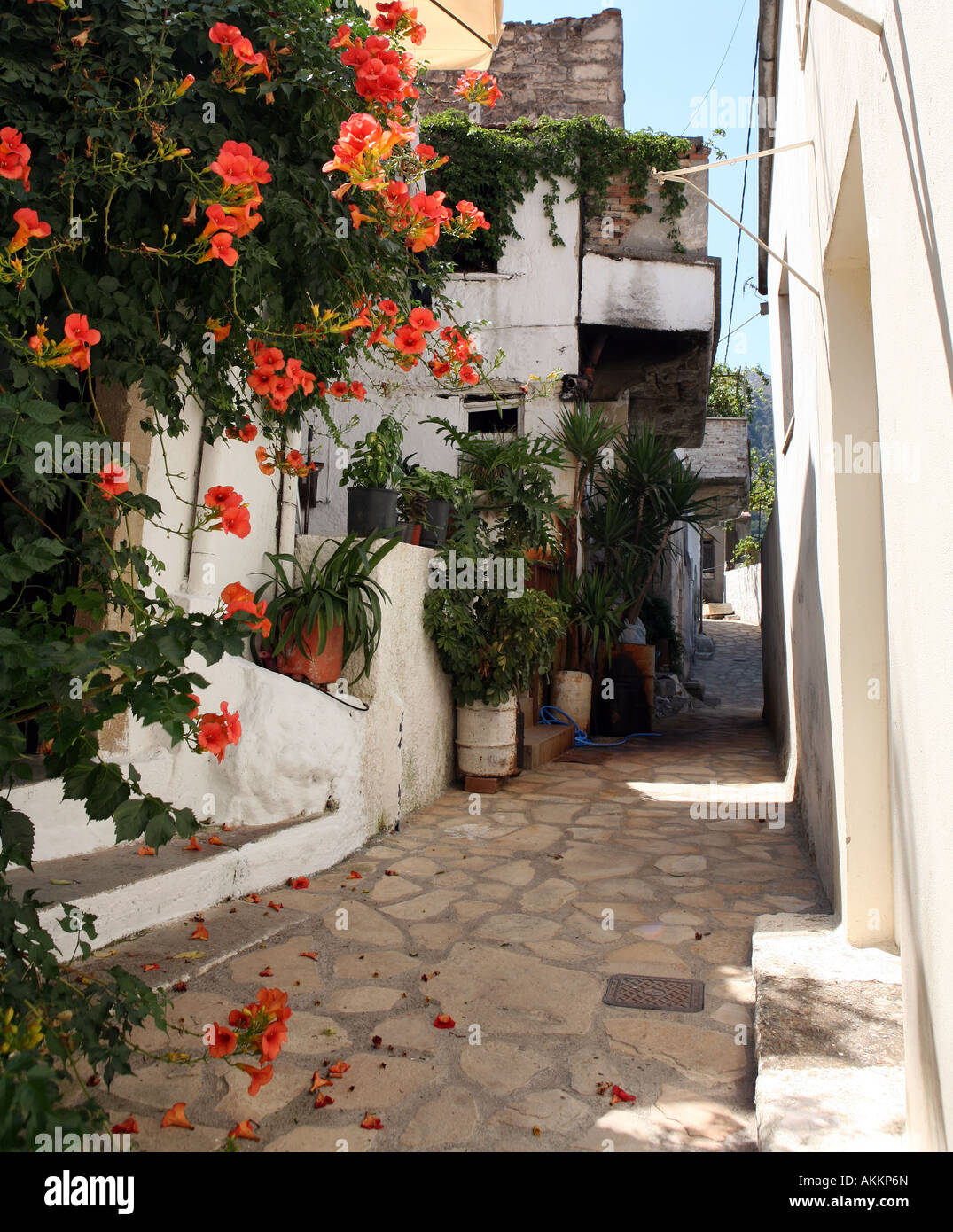 Crete argiroupolis greece High Resolution Stock Photography and Images ...