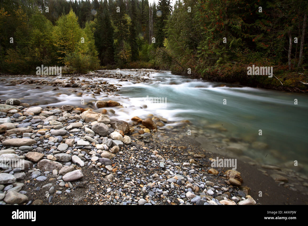 Water flow along Small Creek in beautiful British Columbia Stock Photo ...