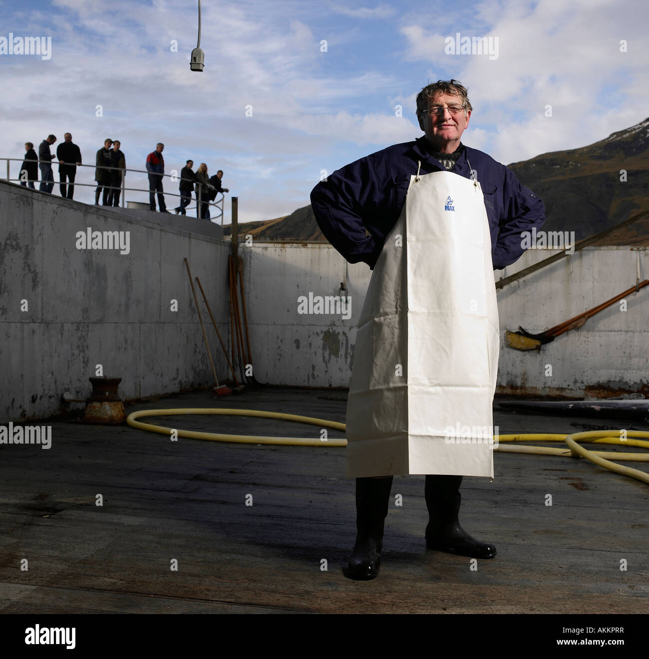 Whaler waiting to skin freshly hunted Fin Whale Stock Photo - Alamy