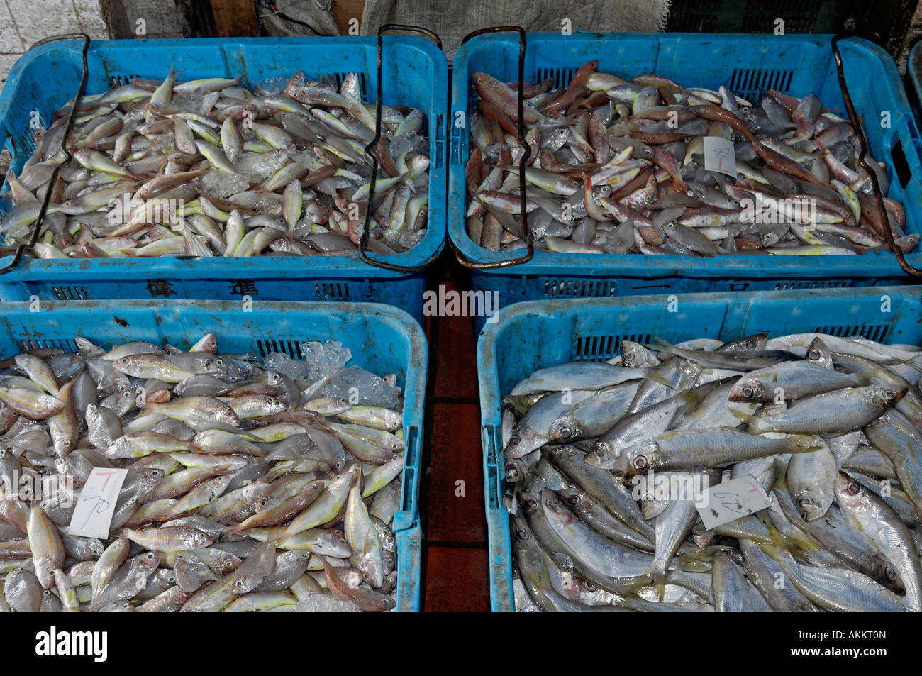 Fish market kuching malaysia hi-res stock photography and images - Alamy