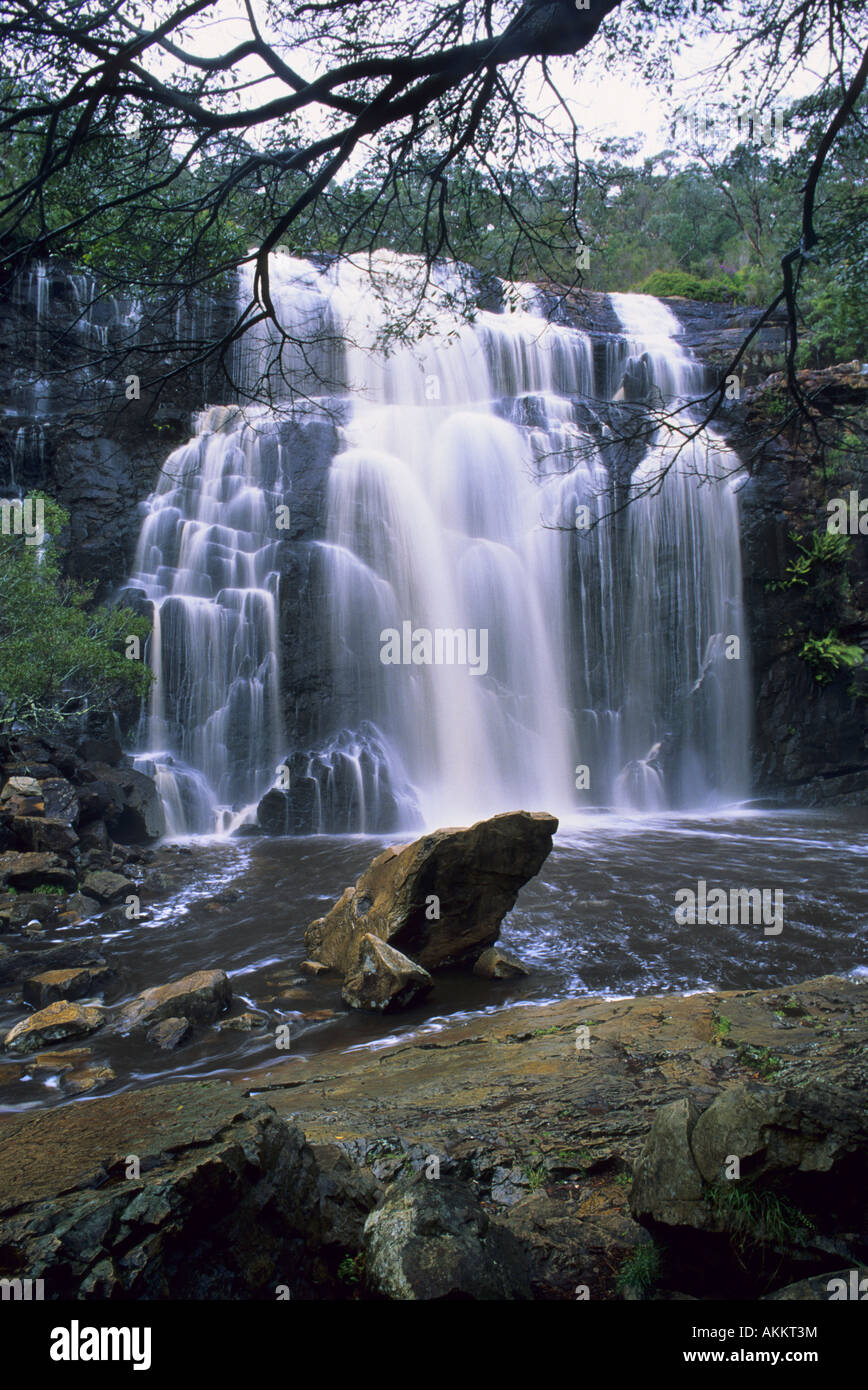 Waterfall Mackenzie Falls, Grampians National Park, Australia Stock ...