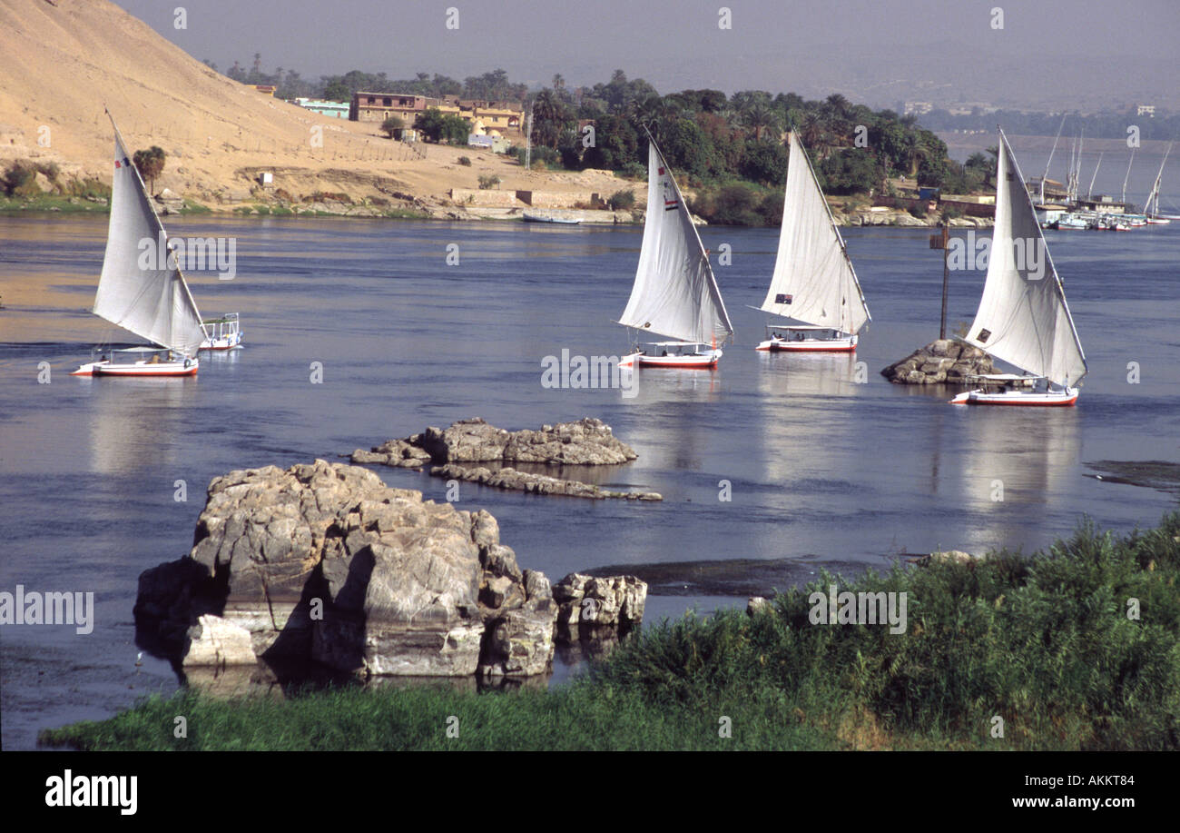 Feluccas on the Nile at Aswan, Upper Egypt Stock Photo - Alamy