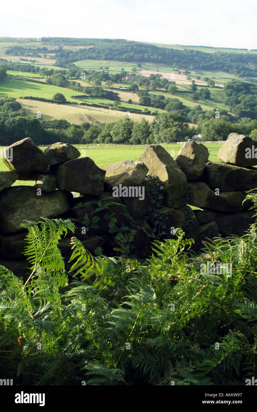 dry stone walling North York Moors Yorkshire northern England UK Europe ...