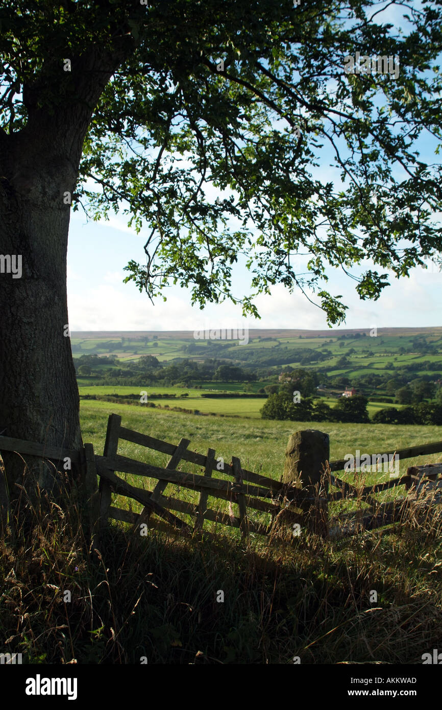 Scenic English countryside North York Moors region Yorkshire northern ...