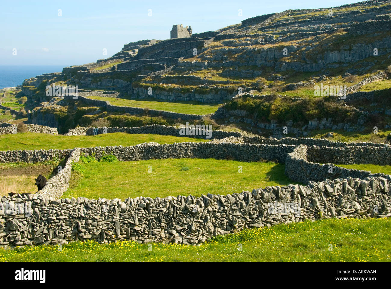 Field fields walls wall inishmore hi-res stock photography and images ...
