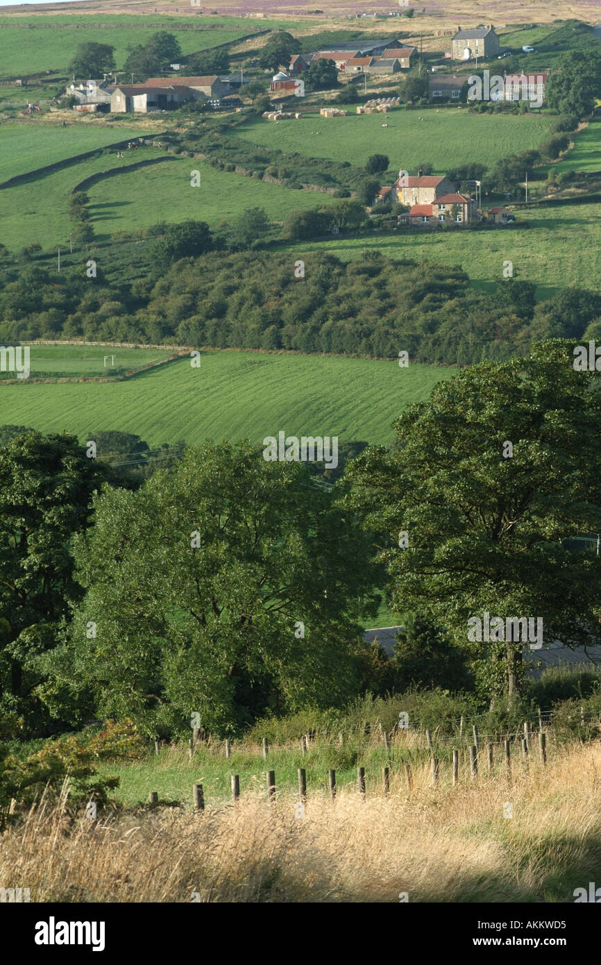 Moorland area yorkshire hi-res stock photography and images - Alamy