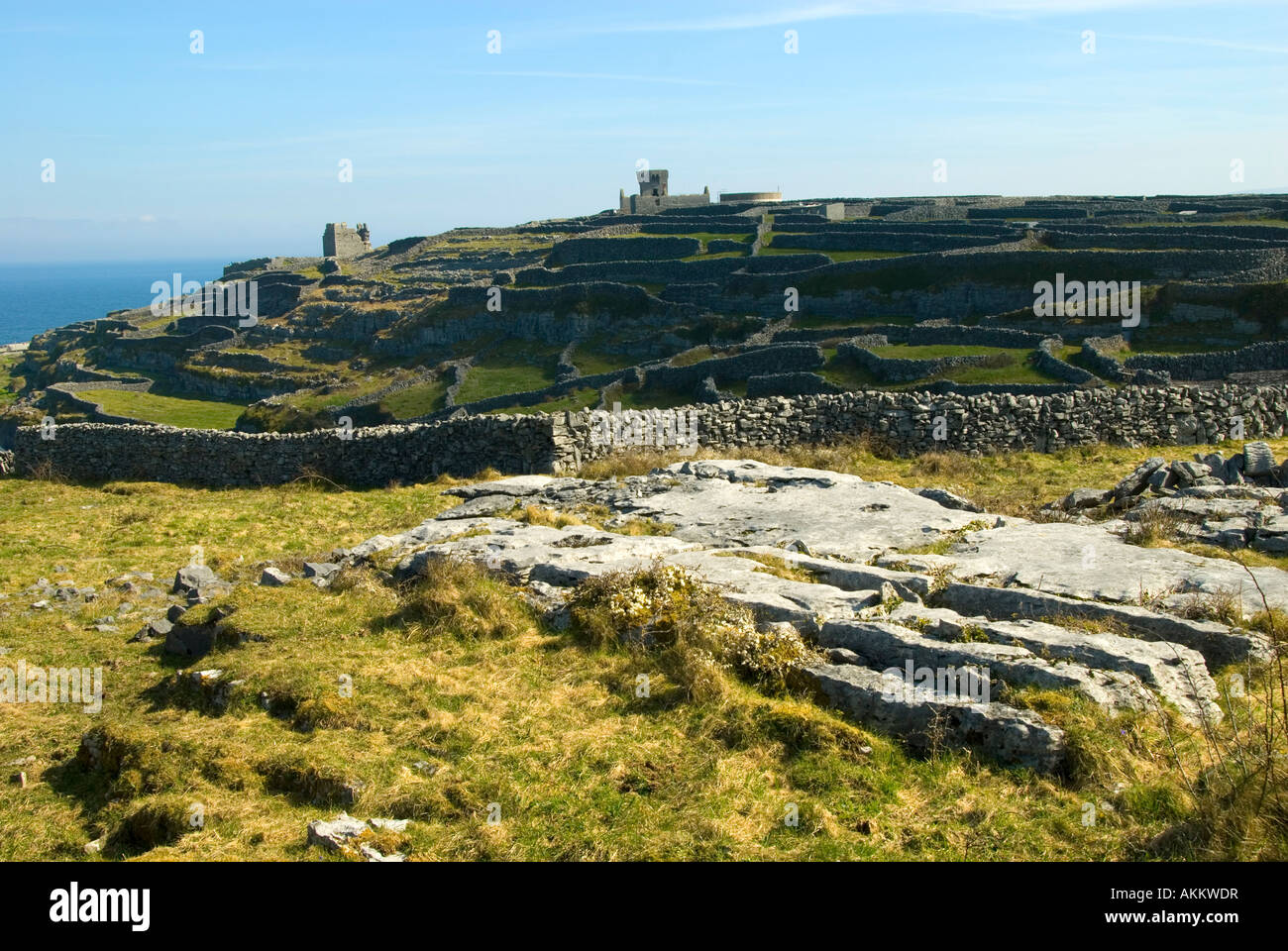 Stone walls on inishmore aran hi-res stock photography and images - Alamy