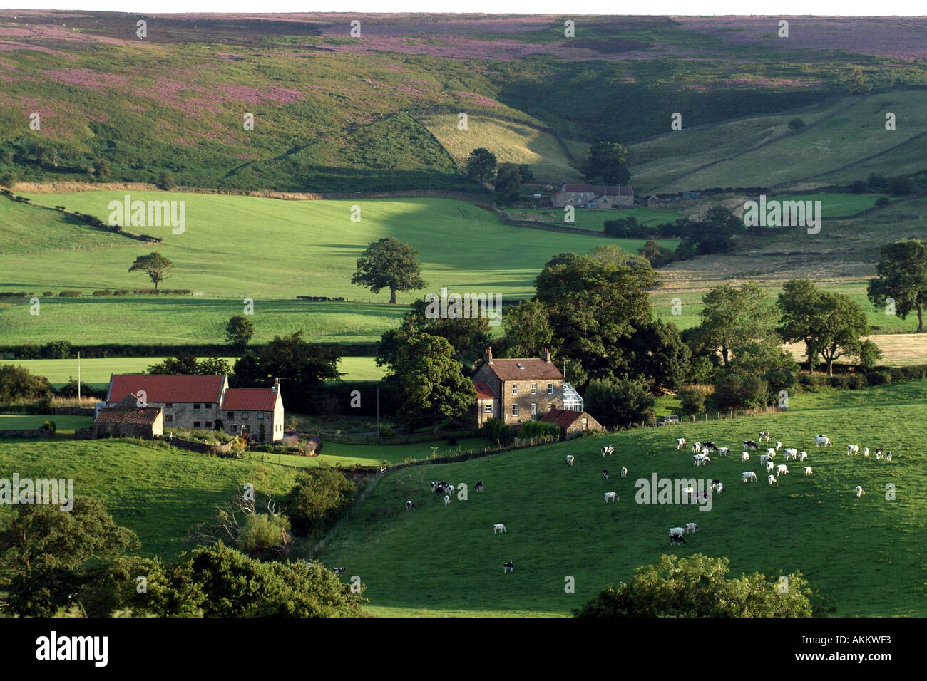 North York Moors Yorkshire northern England UK farming community Stock ...