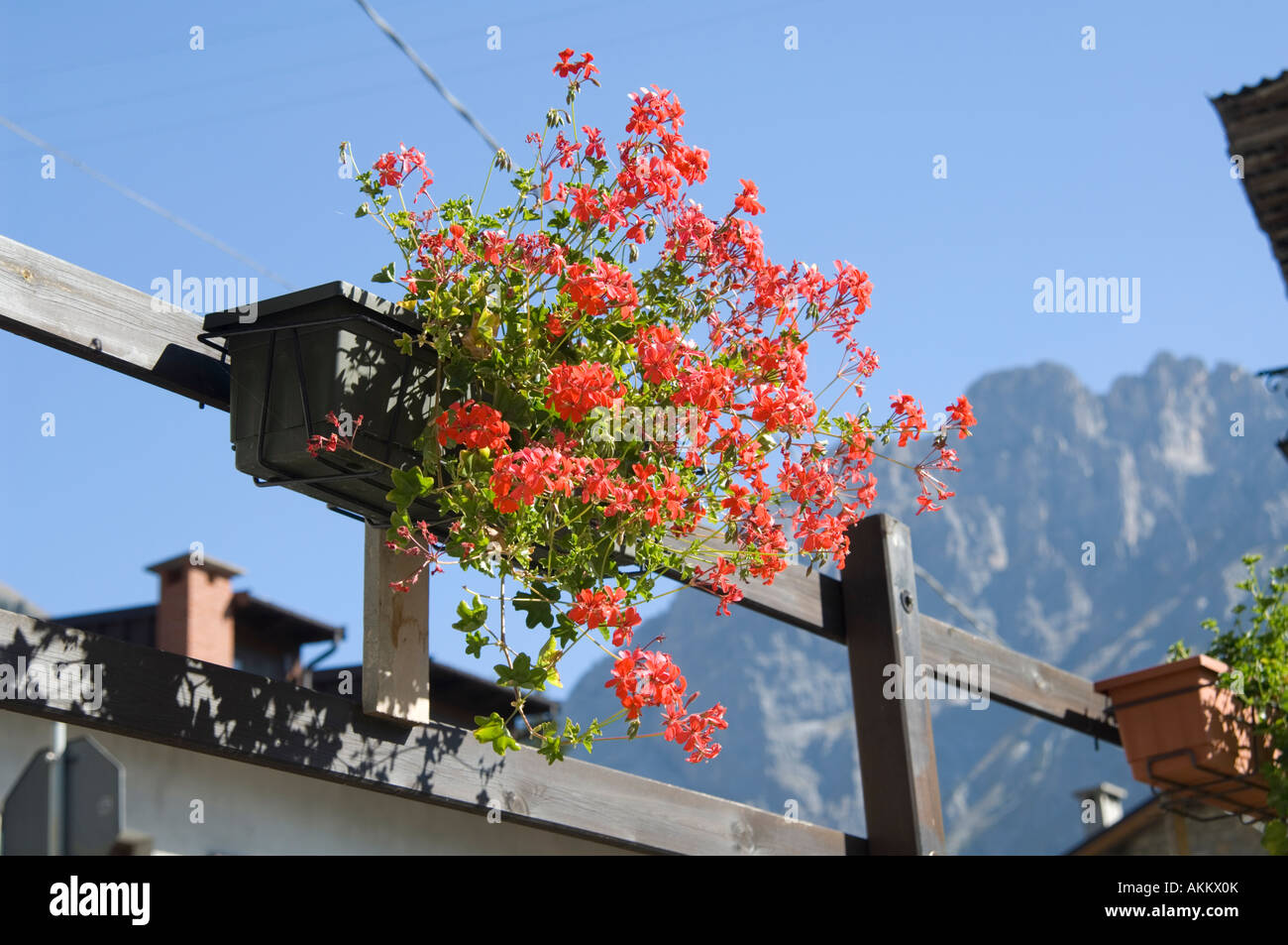 Alpine Flower Box Stock Photo - Alamy