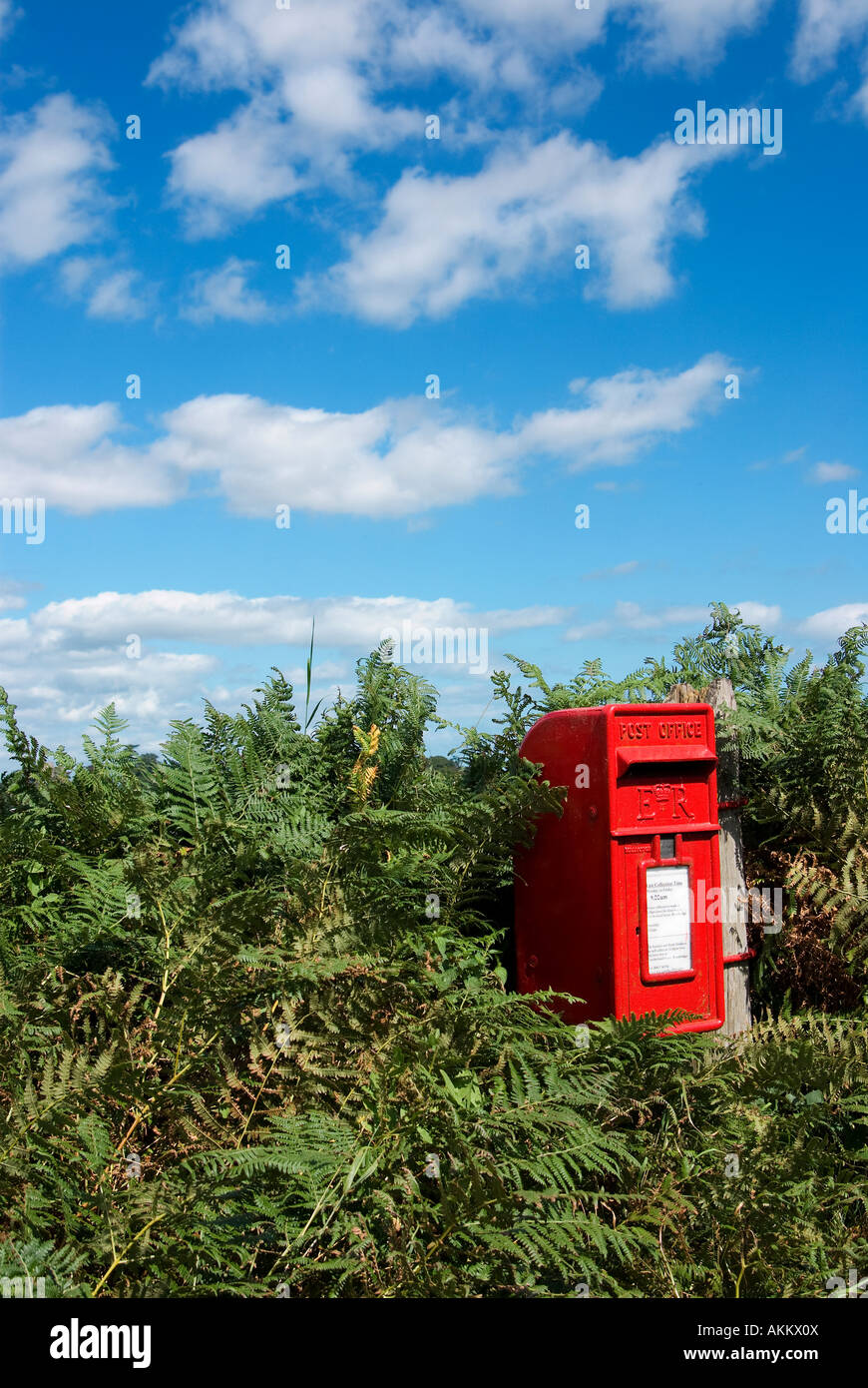 Red post box and green hedge hi-res stock photography and images - Alamy
