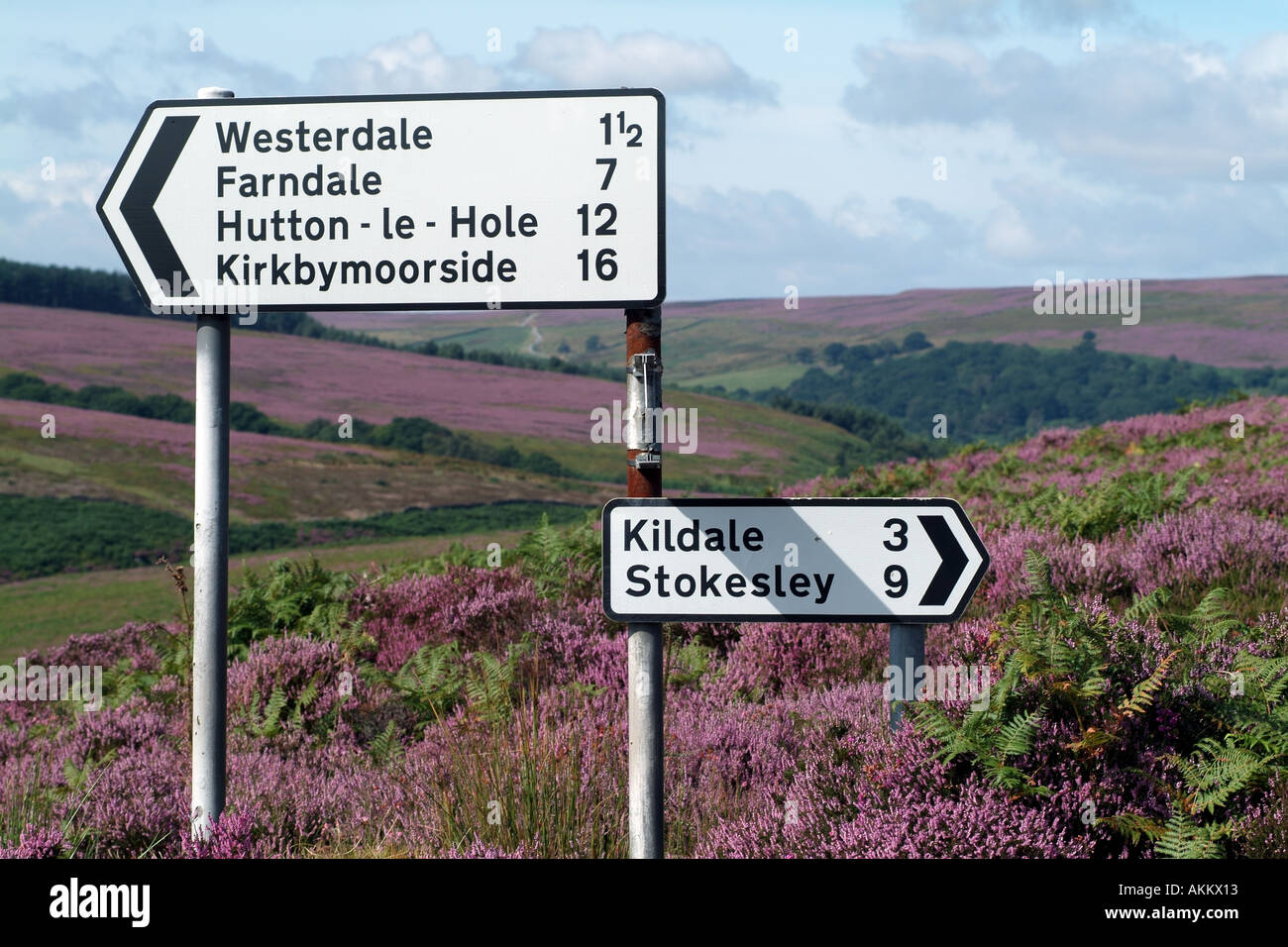 North York Moors road signs and heather Yorkshire northern England UK ...