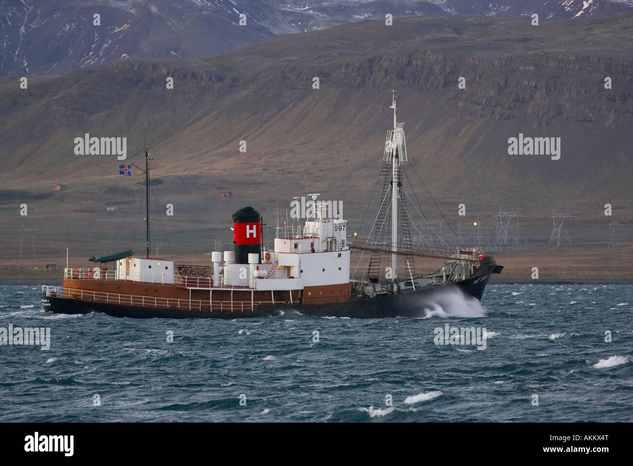 Whaling ship arctic hi-res stock photography and images - Alamy