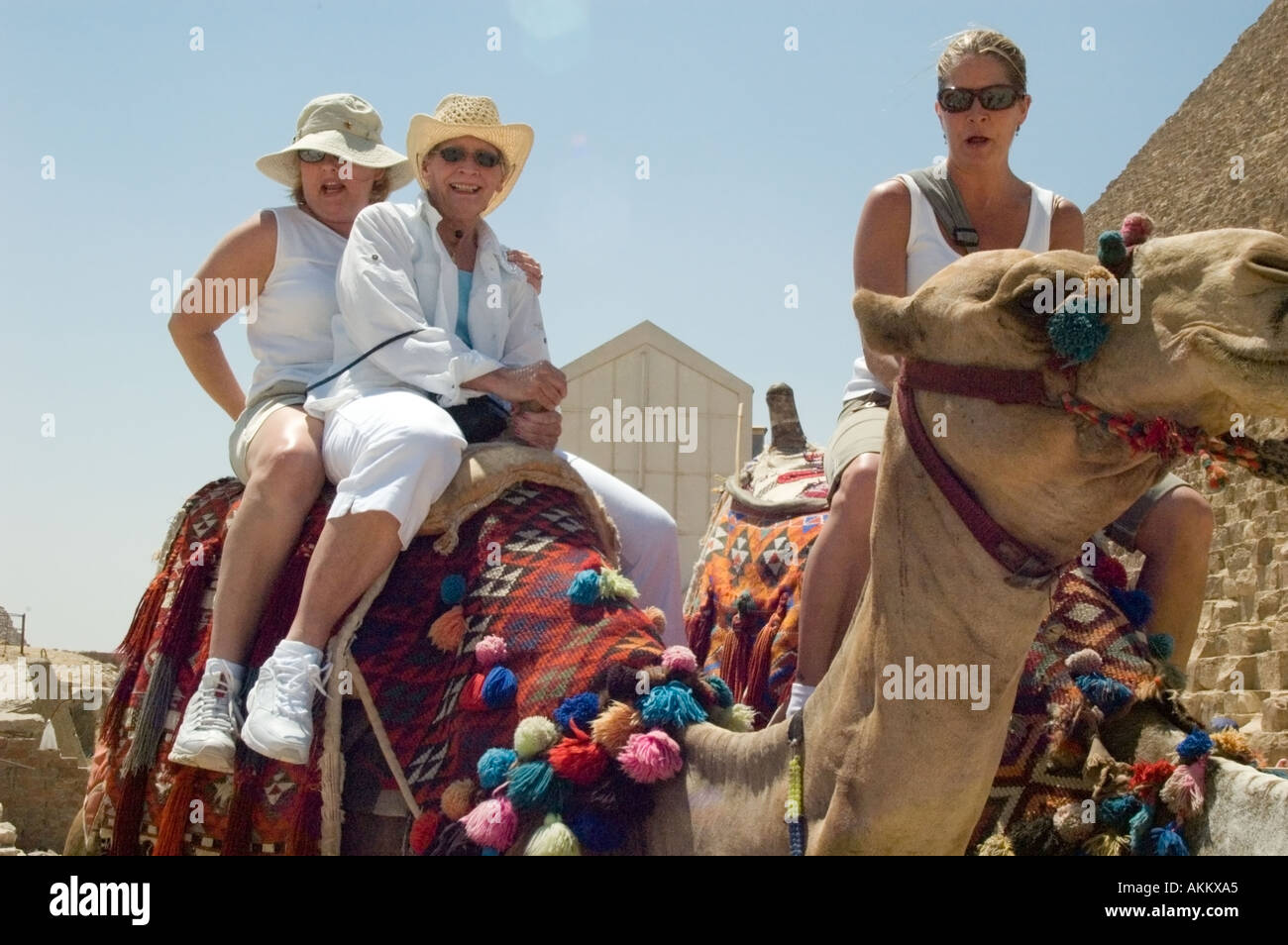 Tourists take camel rides at the Pyramids at Ghiza Cairo Egypt Stock ...