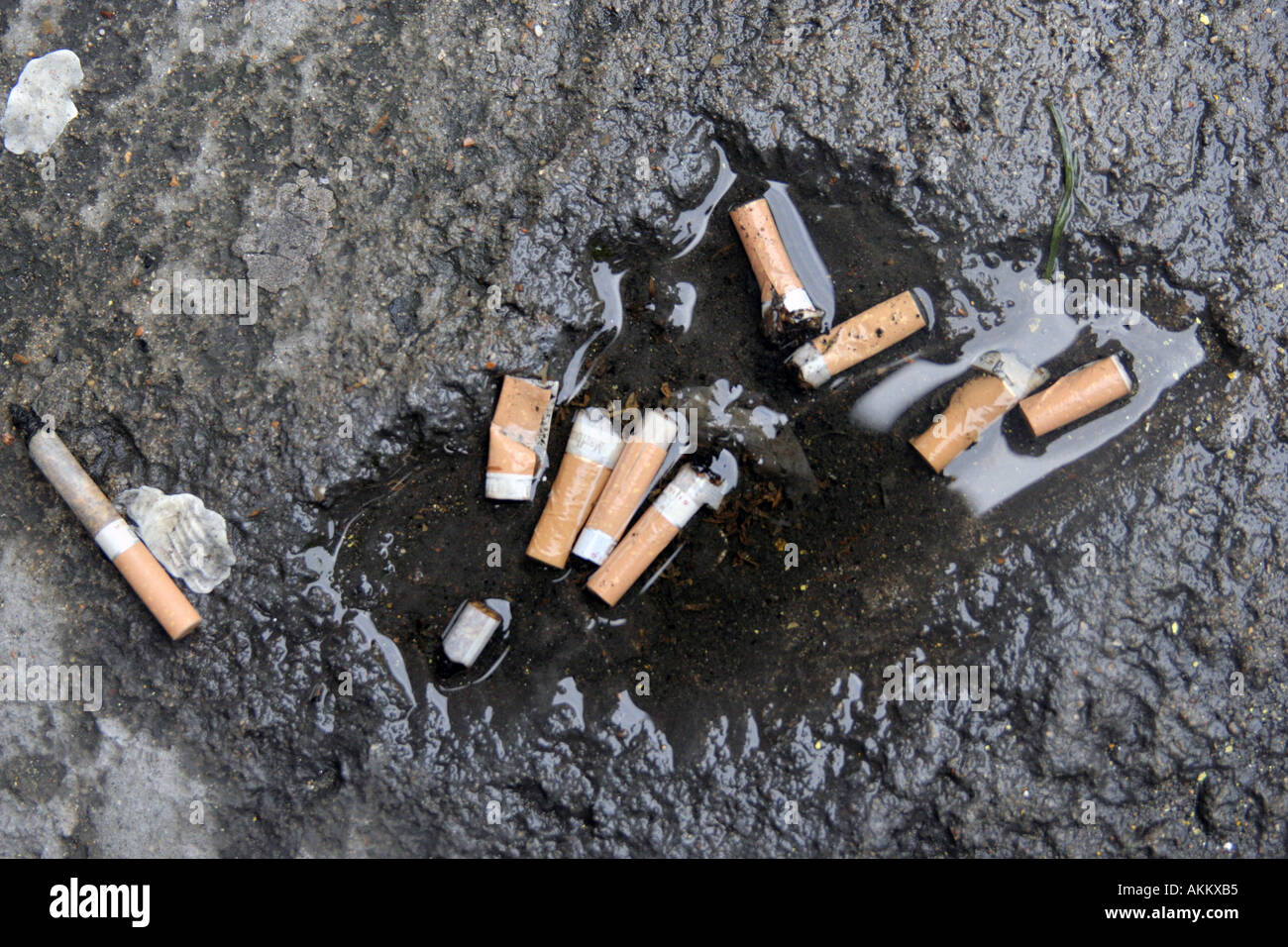 Cigarette butts in the gutter Stock Photo - Alamy