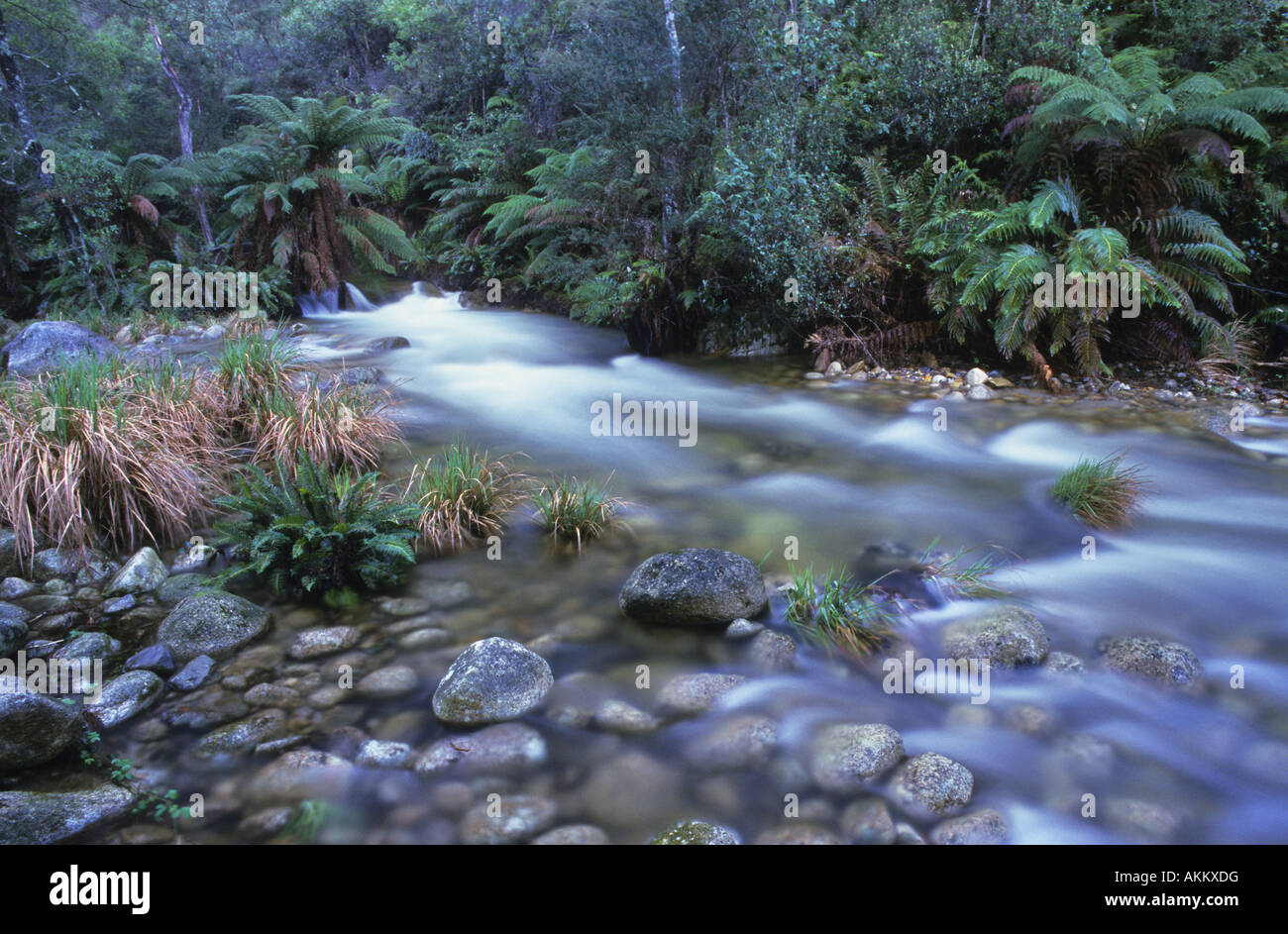Stock photograph of a clear stream flowing over rocks Mount Buffalo ...