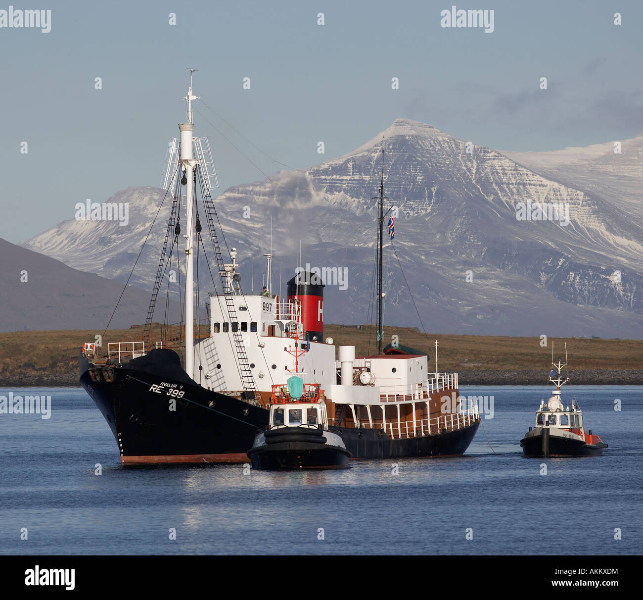 Whaling Trawler, Hvalur 9 Stock Photo - Alamy