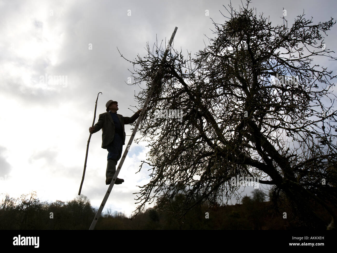 Stan yapp hi-res stock photography and images - Alamy