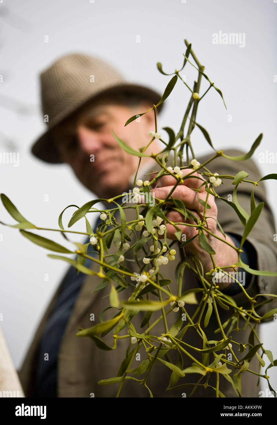 Stan yapp hi-res stock photography and images - Alamy