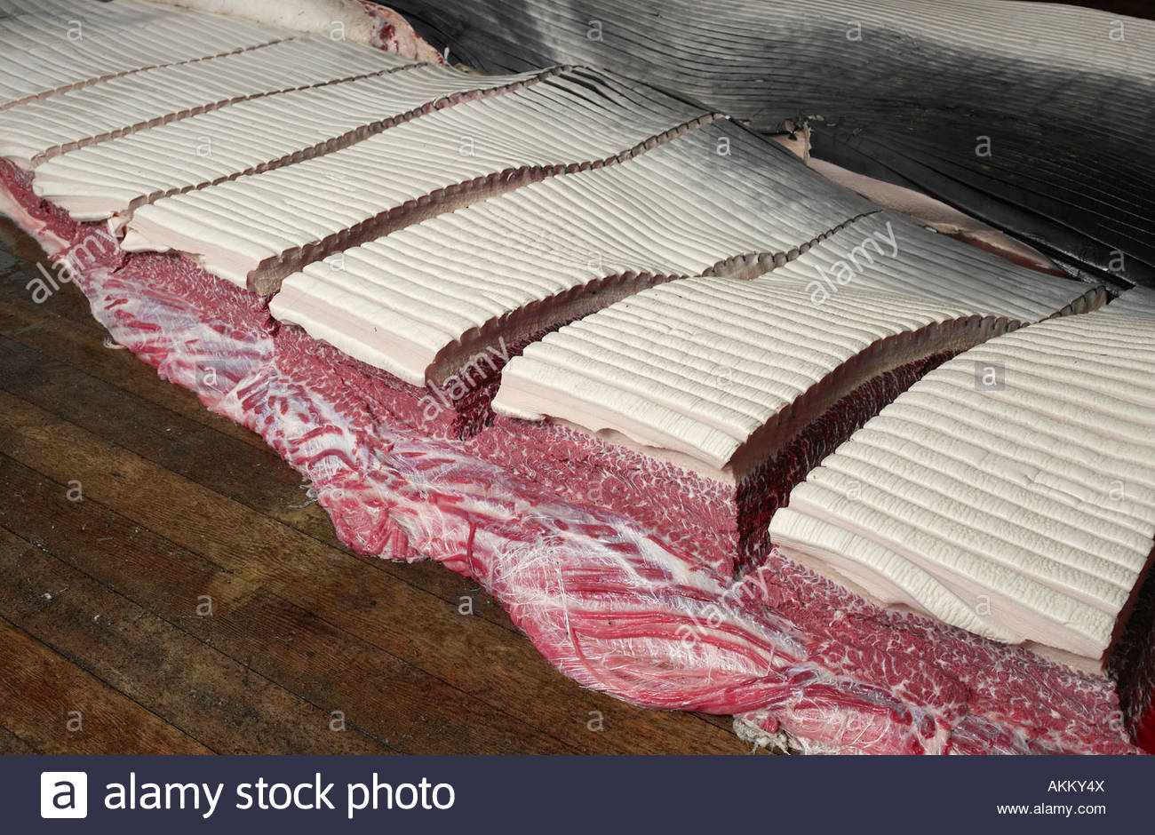 Whale Meat Stock Photos & Whale Meat Stock Images - Alamy