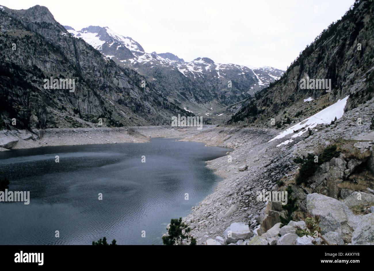 Cavallers dam hi-res stock photography and images - Alamy