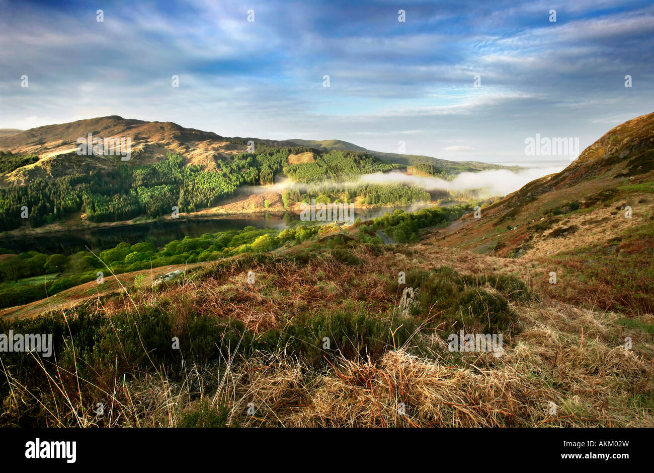 Glen Trool Galloway Forest Park Scotland UK Stock Photo - Alamy