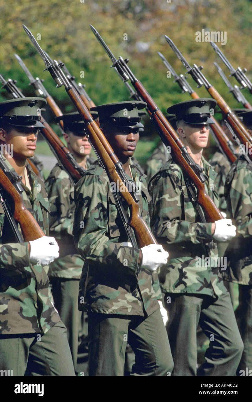 Washington dc military parade hi-res stock photography and images - Alamy
