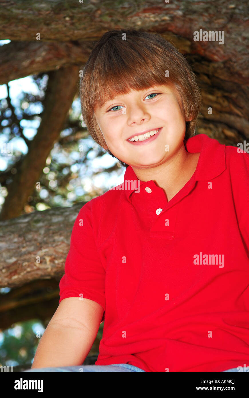 Young boy sitting on a tree branch in summer park Stock Photo - Alamy