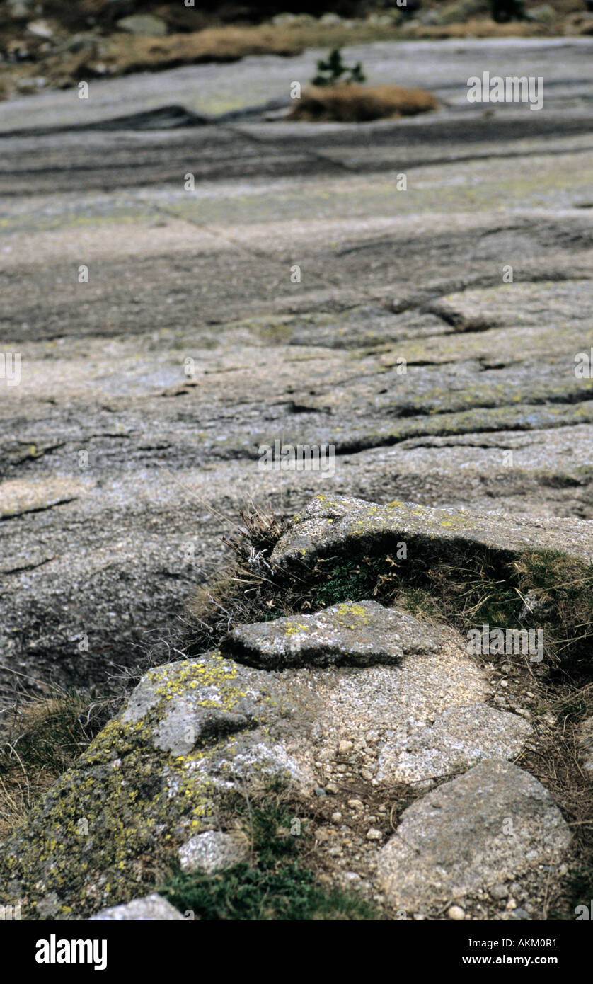 Rock surface in Aiguestortes National park Pyrenees Catalonia Spain ...