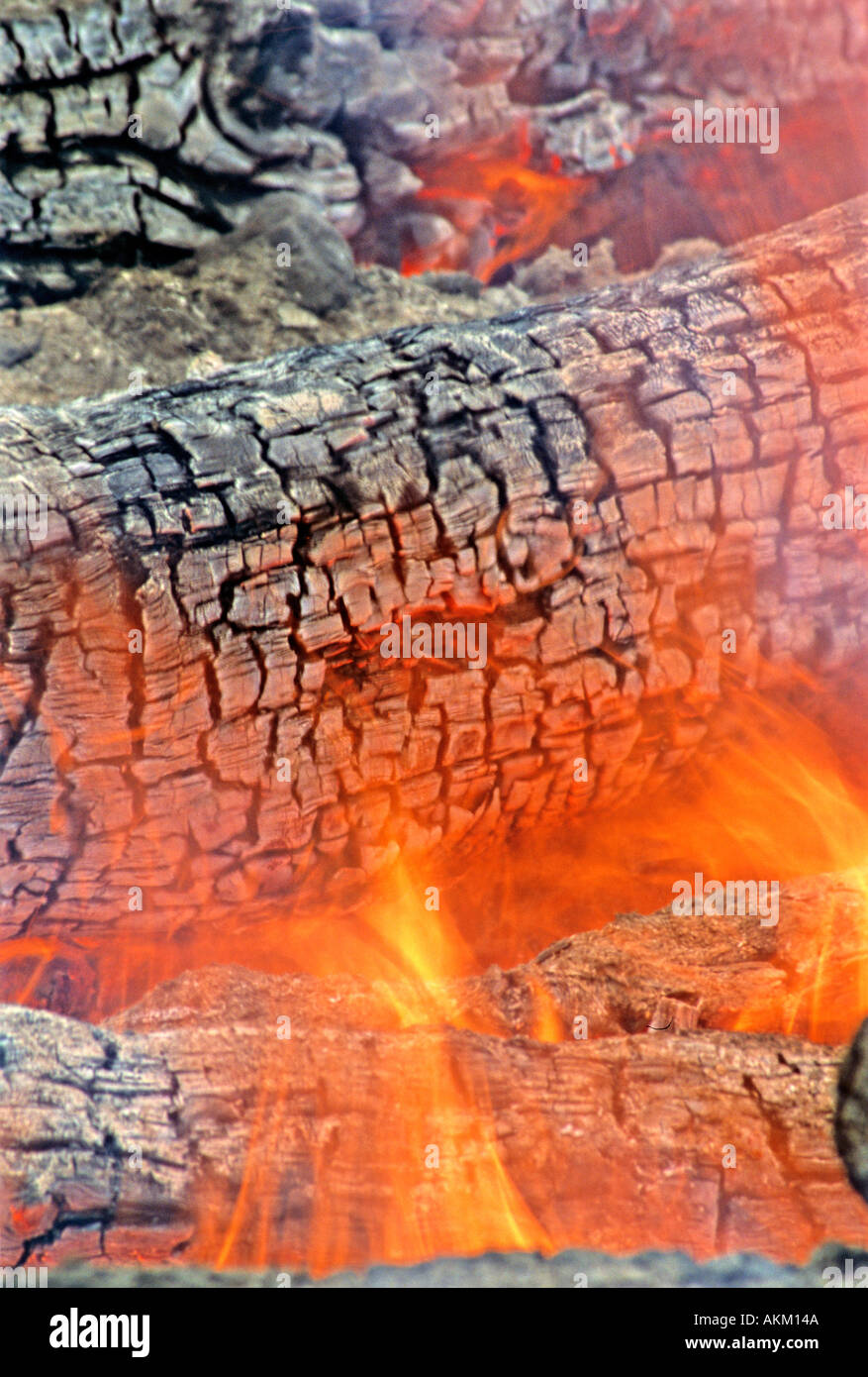 Emergency logs hi-res stock photography and images - Alamy