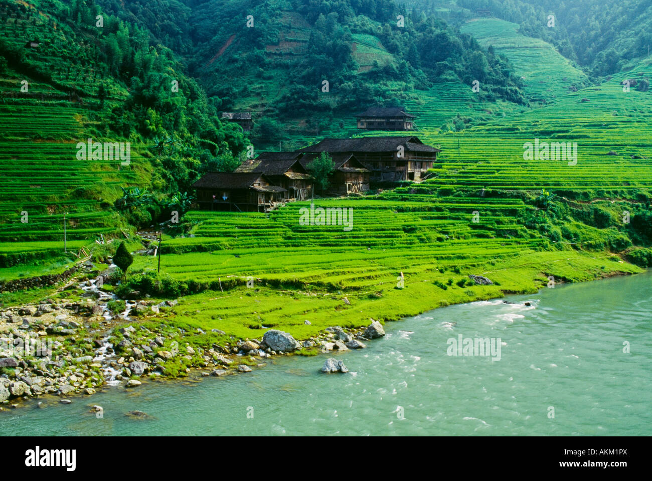 Rice fields, Longsheng, Guangxi province, China Stock Photo - Alamy